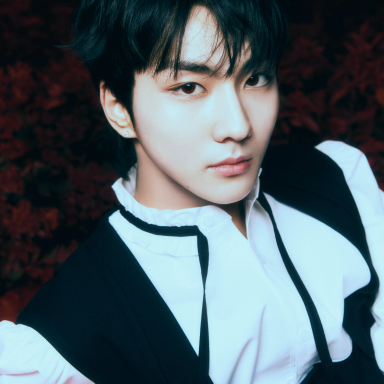 My (re)introduction | KProfiles Forum - KPop Forums