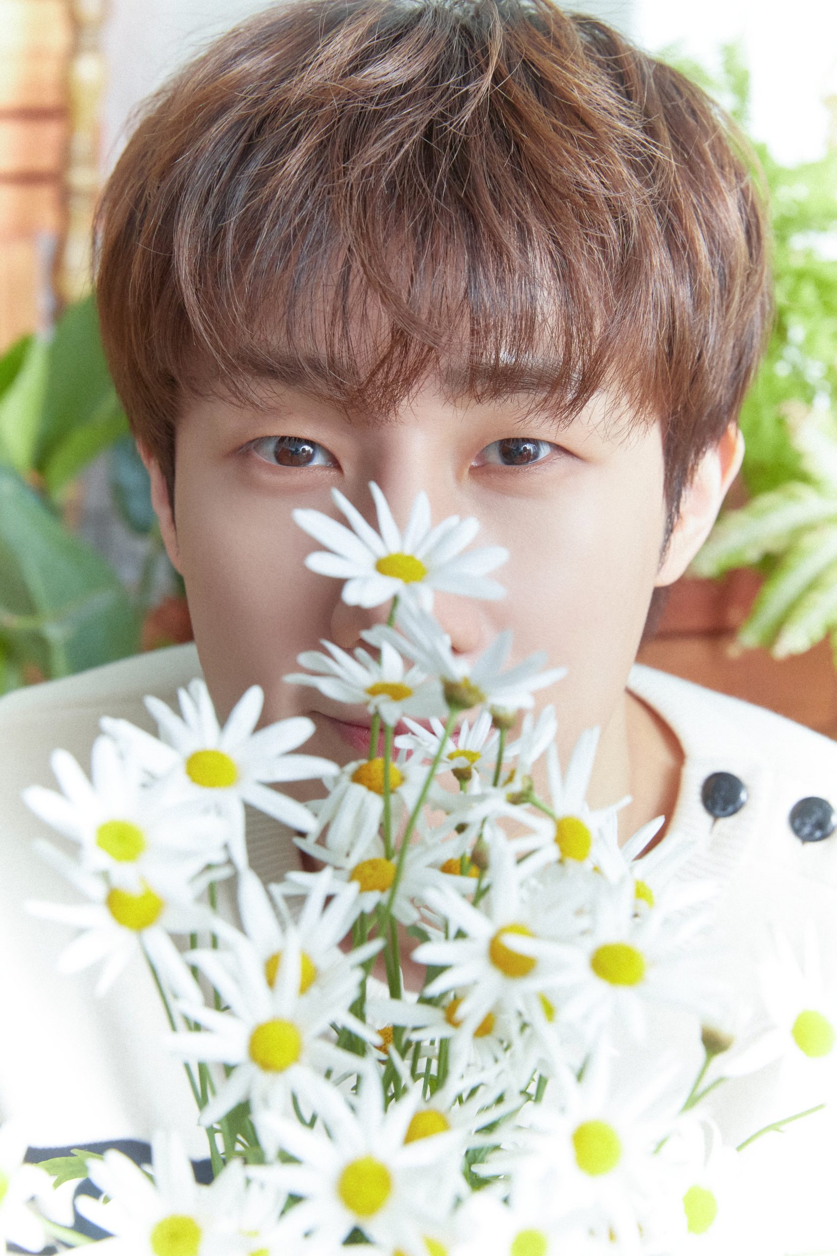 KIM SUNGKYU (INFINITE) Profile (Updated!) - Kpop Profiles
