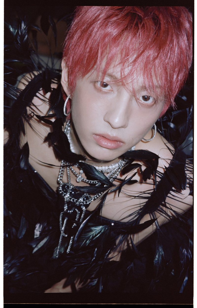 HOLLAND Profile (Updated!) - Kpop Profiles