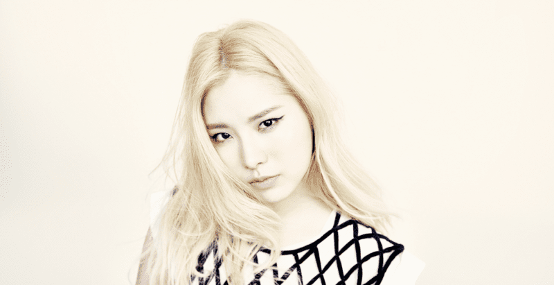 Lim Kim Profile (Updated!)