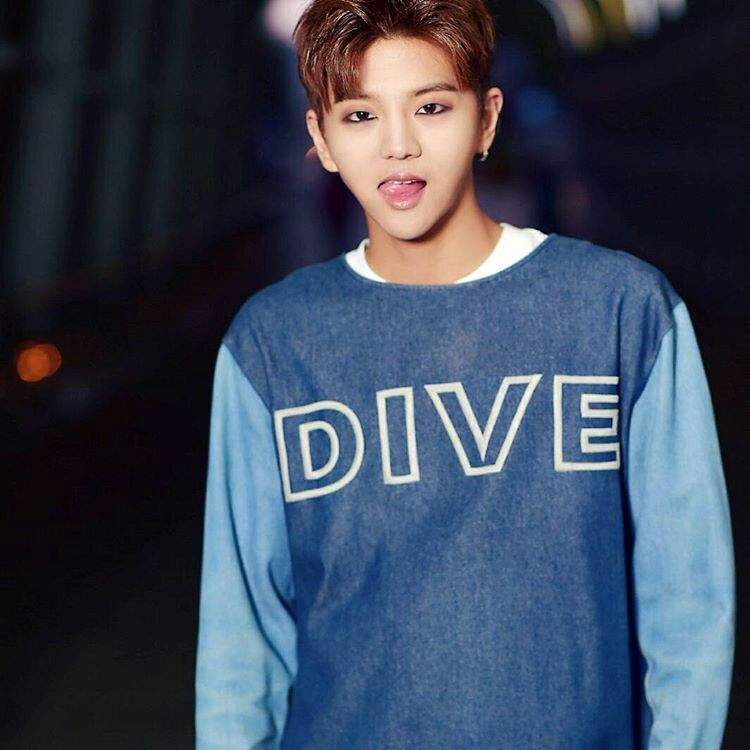 D.I.P Members Profile (Updated!)