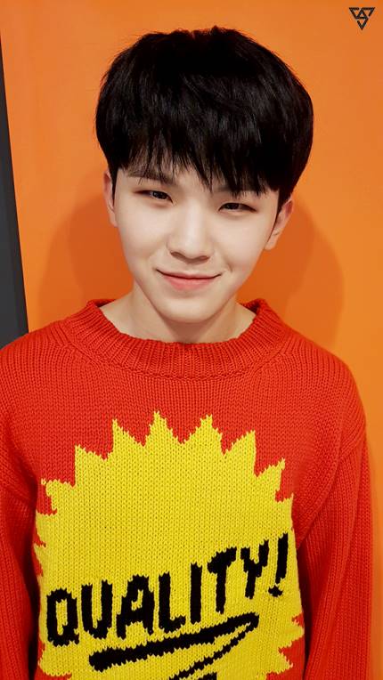 Vocal Team (Seventeen) Profile (Updated!)