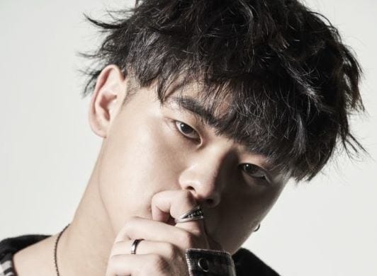 VINXEN Profile and Facts (Updated!)