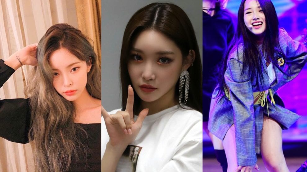 Rothy Profile and Facts (Updated!)