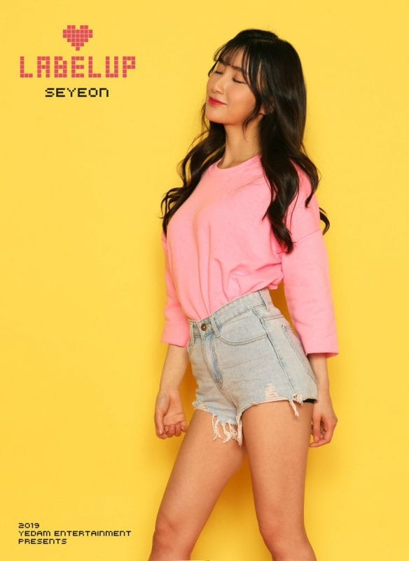 LABEL UP Members Profile (Updated!)