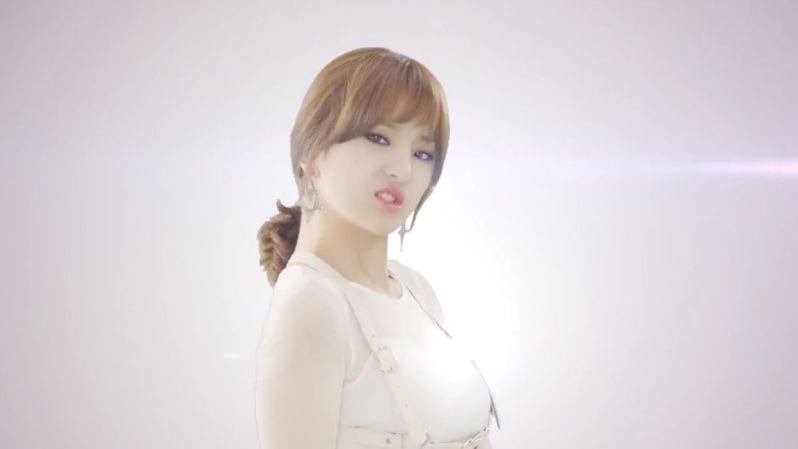 Delight Members Profile (Updated!)