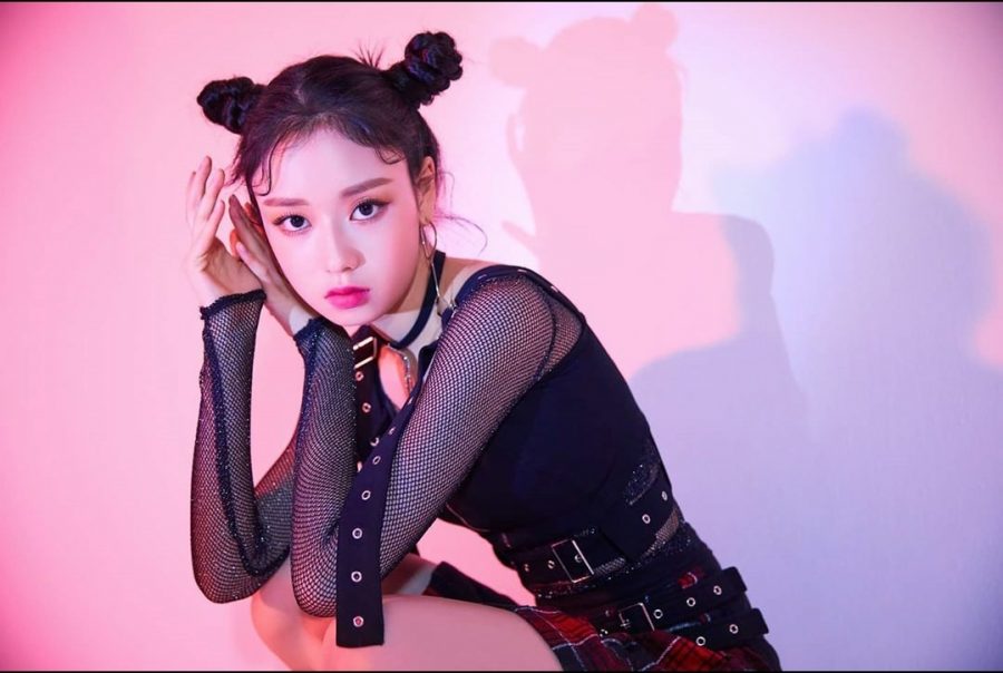 Doah (Fanatics) Profile And Facts (Updated!)