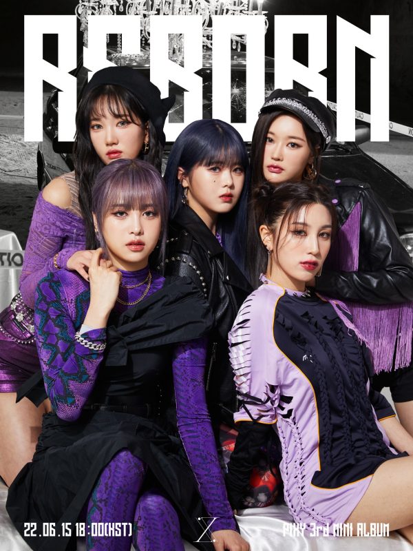 PIXY Members Profile (Updated!)