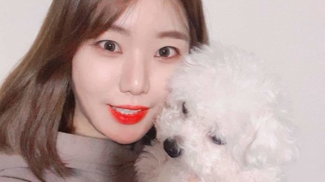 Cha Gaeul - Info, Quizzes, Polls - Kpop Profiles