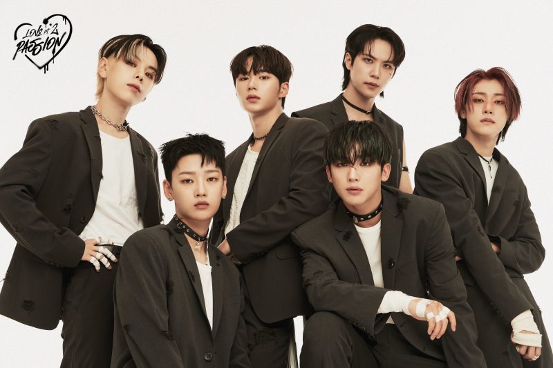 WEi Members Profile (Updated!)