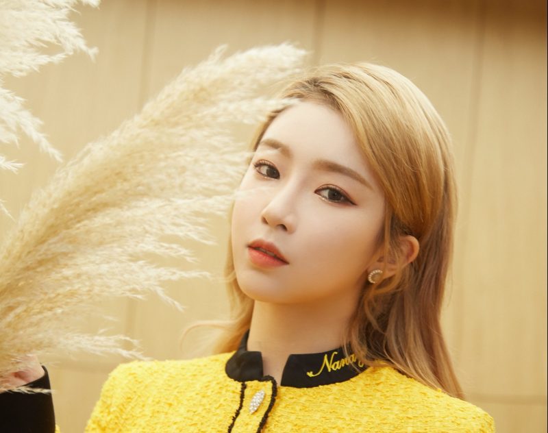 Lin Junyi Profile and Facts (Updated!)