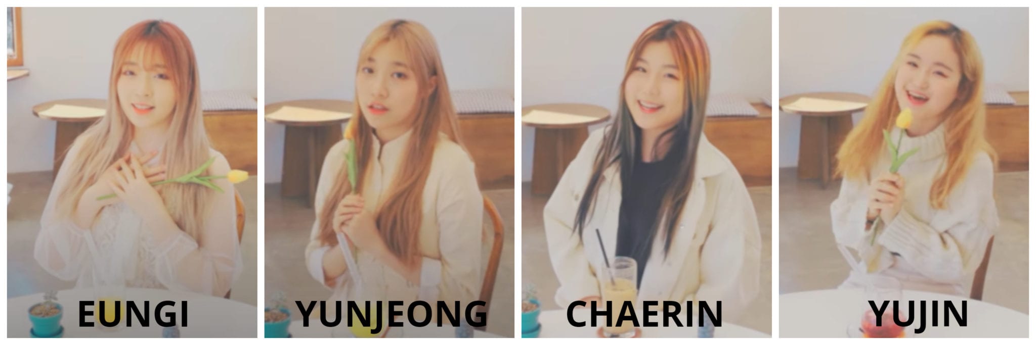Hi Cutie: Who is Who? (Updated!) - Kpop Profiles