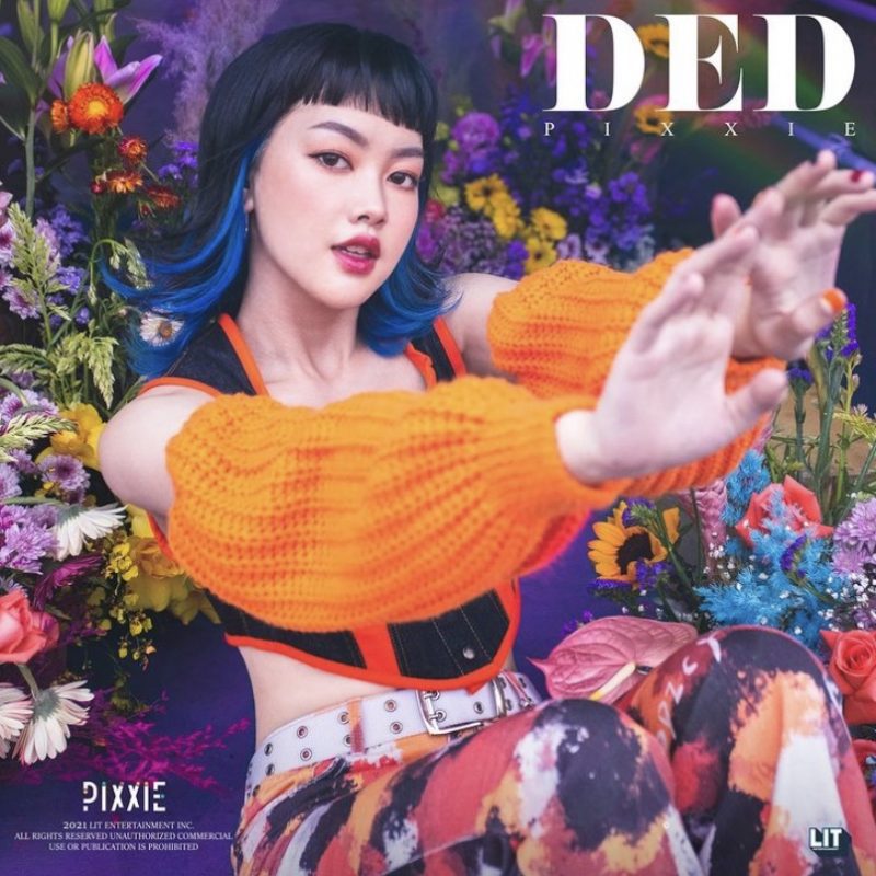 PiXXiE Members Profile (Updated!)