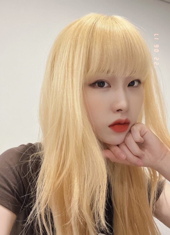 WizarD Members Profile (Updated!)