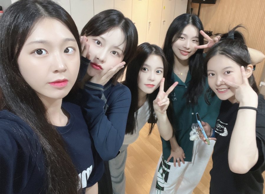 WizarD Members Profile (Updated!)