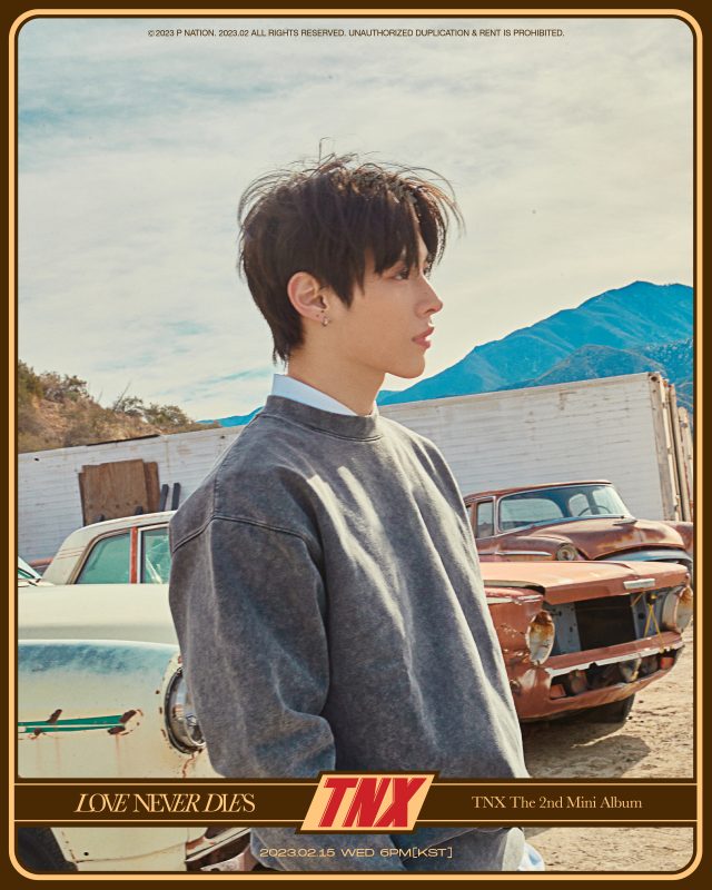 TNX Members Profile (Updated!)