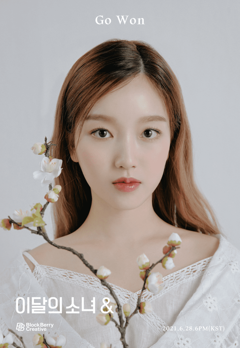 LOONA's MBTI Types (Updated!) - Kpop Profiles