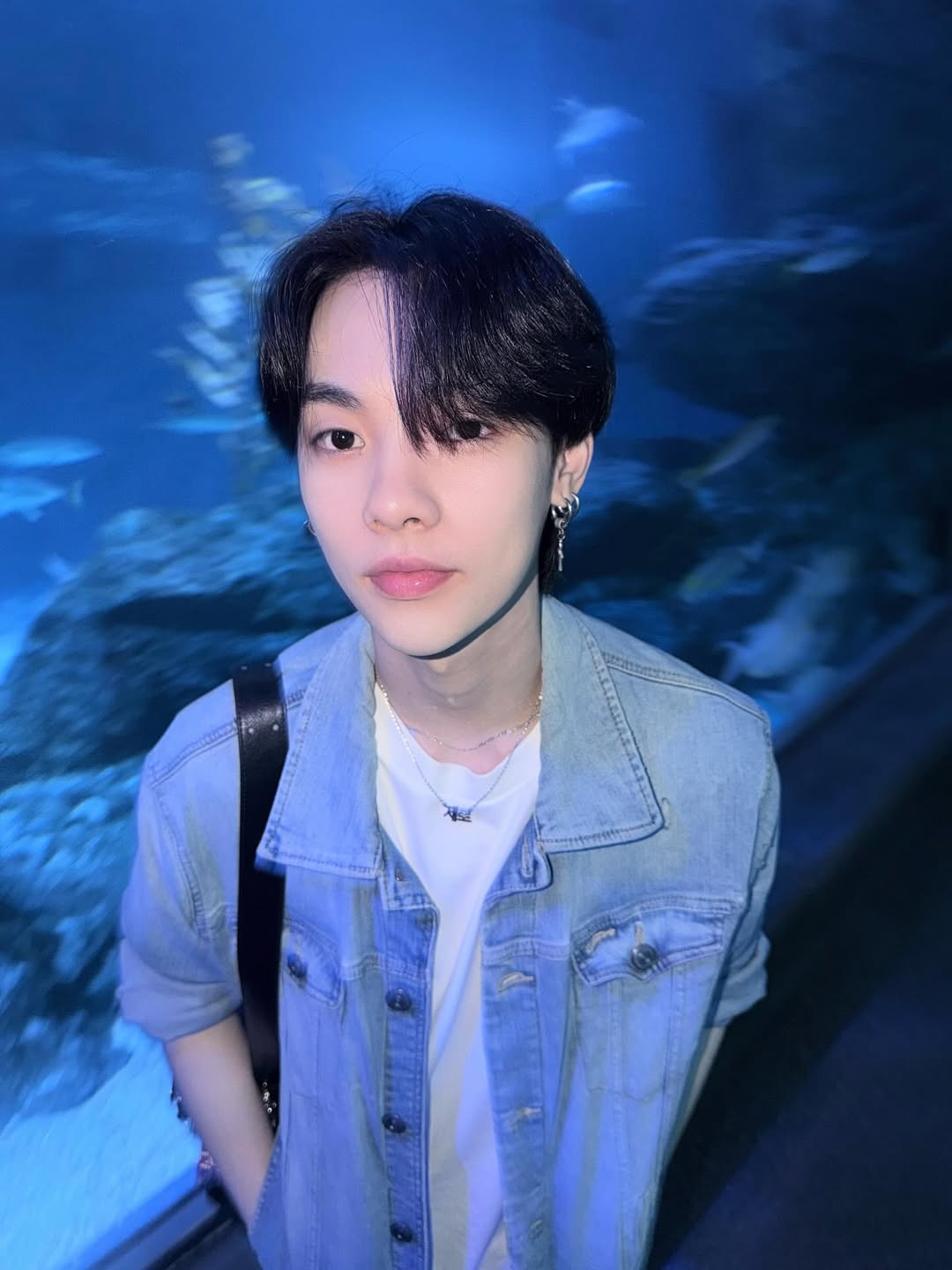 Domundi TV Profile: History, Artists and Facts (Updated!) - Kpop Profiles