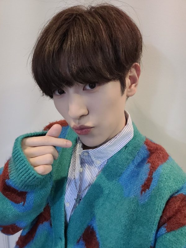 Pattern Members Profile (Updated!)