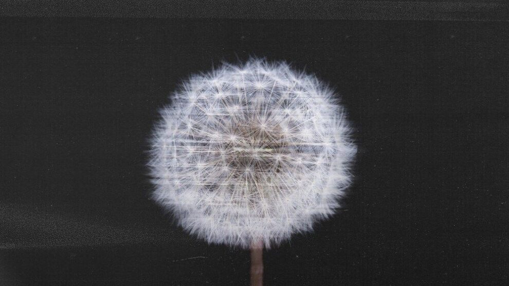 Kaede (tripleS) Profile and Facts (Updated!) - Kpop Profiles