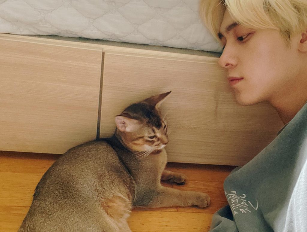 Wayv Pets & Information (Updated!) - Kpop Profiles