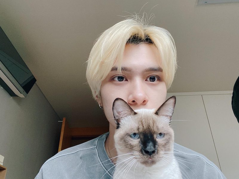 Wayv Pets & Information (Updated!) - Kpop Profiles