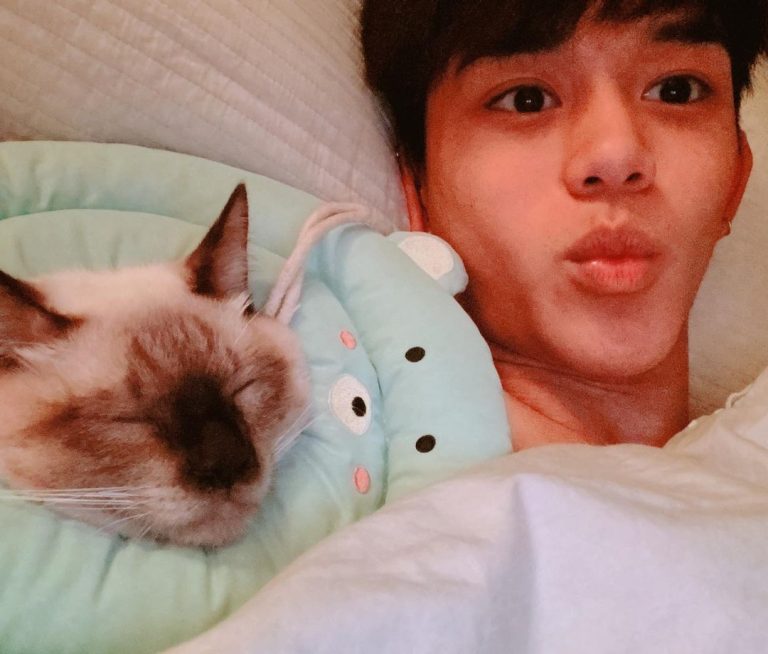 Wayv Pets & Information (Updated!)