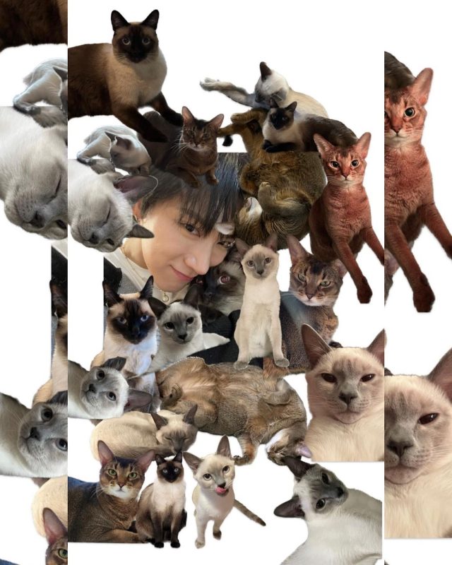 Wayv Pets & Information (Updated!)