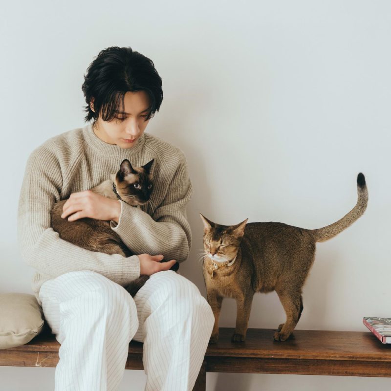 Wayv Pets & Information (Updated!)