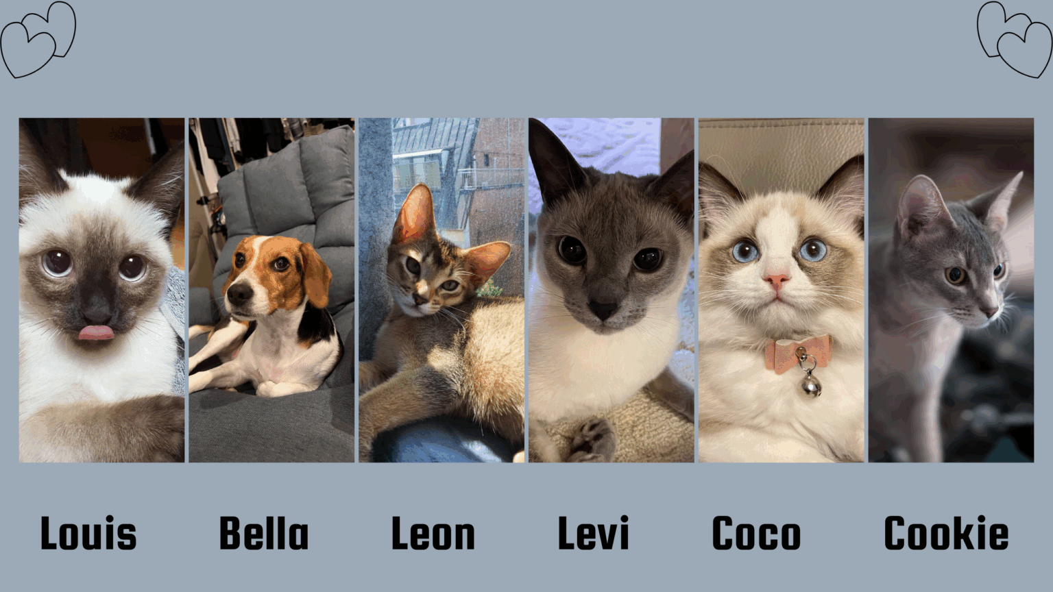 Bella Profile and Facts (Updated!) - Kpop Profiles