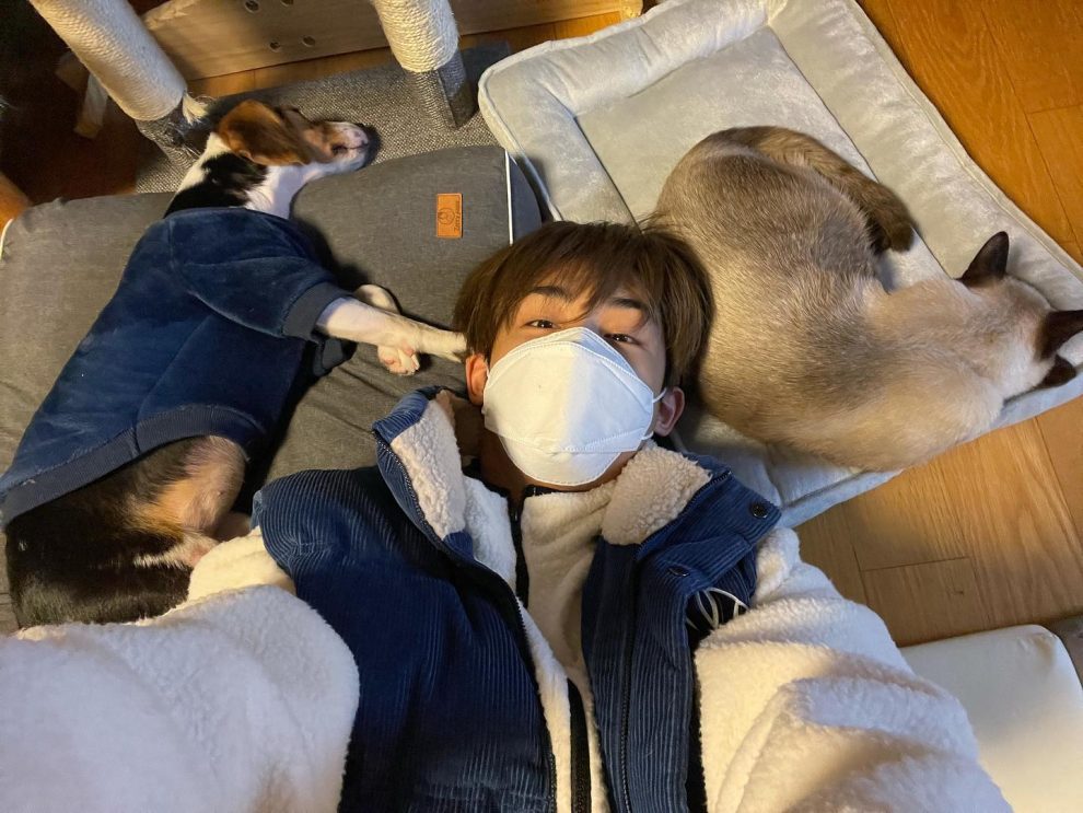 Wayv Pets & Information (Updated!) - Kpop Profiles