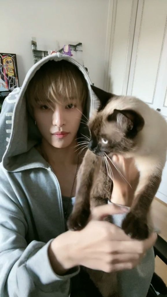 Wayv Pets & Information (Updated!) - Kpop Profiles