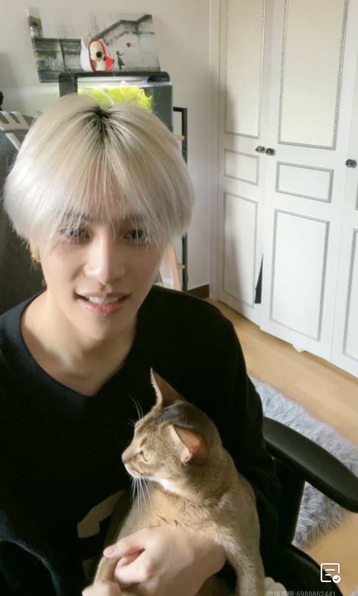 Wayv Pets & Information (Updated!) - Kpop Profiles