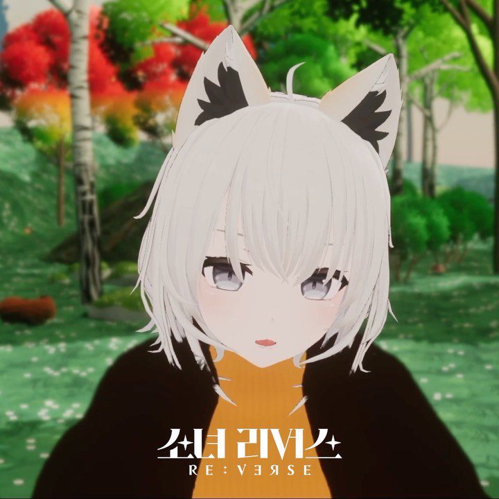 GIRL'S RE:VERSE (Survival Show) Contestants Profile (Updated!)