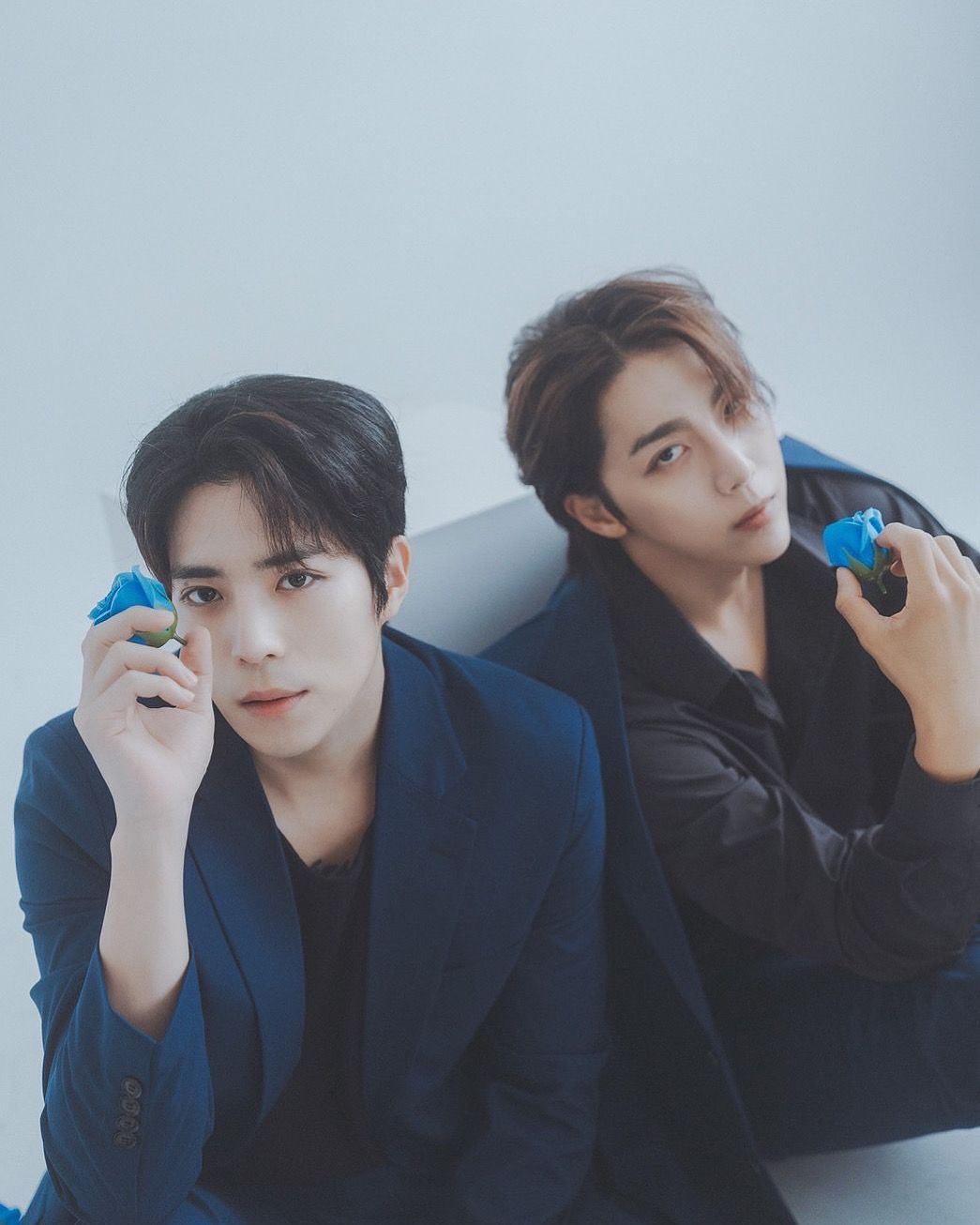 Too Many Color Members Profile (Updated!) - Kpop Profiles