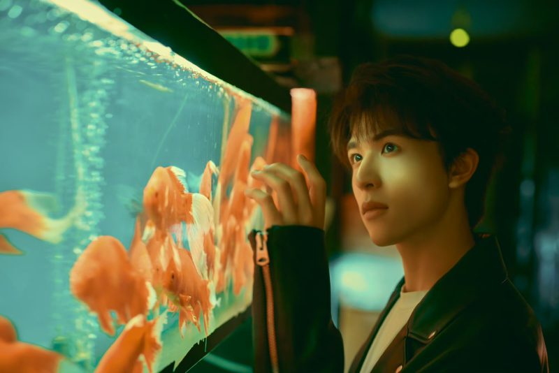 Patrick Profile (Updated!) - Kpop Profiles