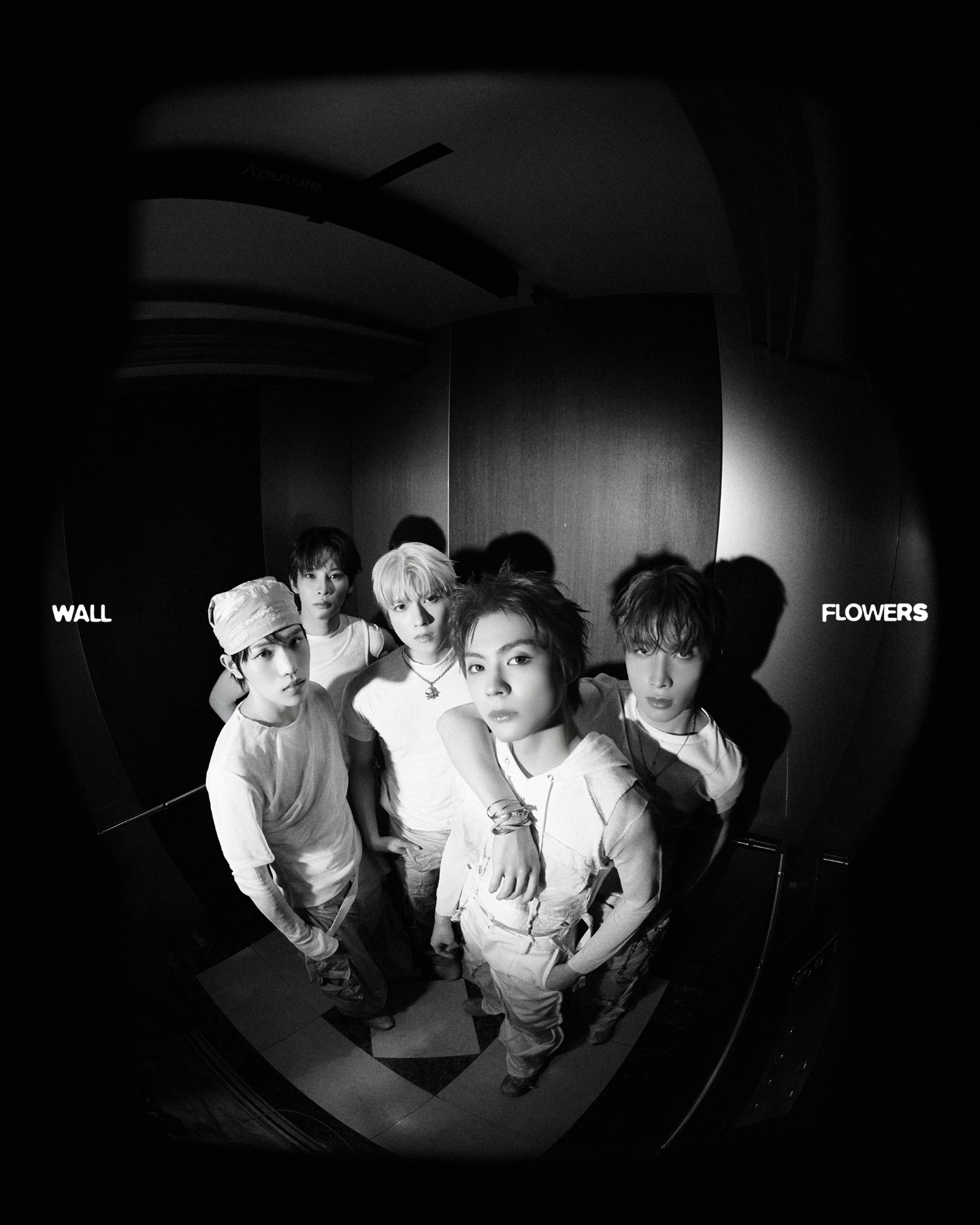 POW Members Profile (Updated!) - Kpop Profiles