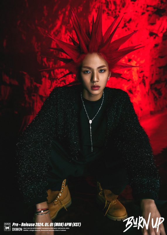 DXMON Members Profile