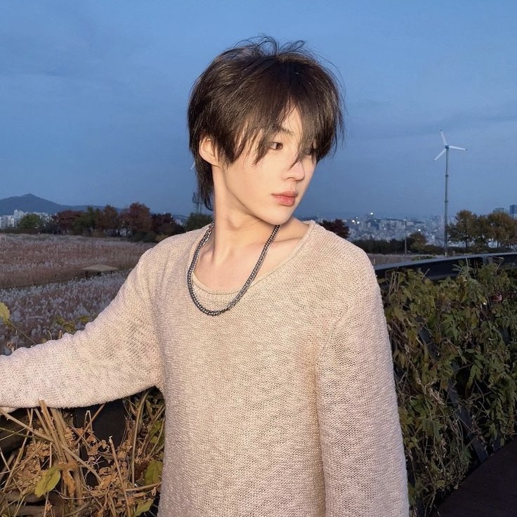 Poll: Which hair color of Fantasy Boys’s KSoul is your favorite ...