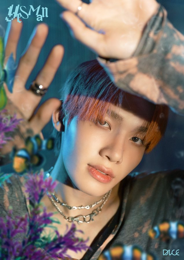 DICE Members Profile (Updated!) - Kpop Profiles