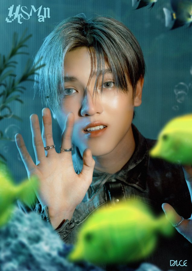 DICE Members Profile (Updated!) - Kpop Profiles