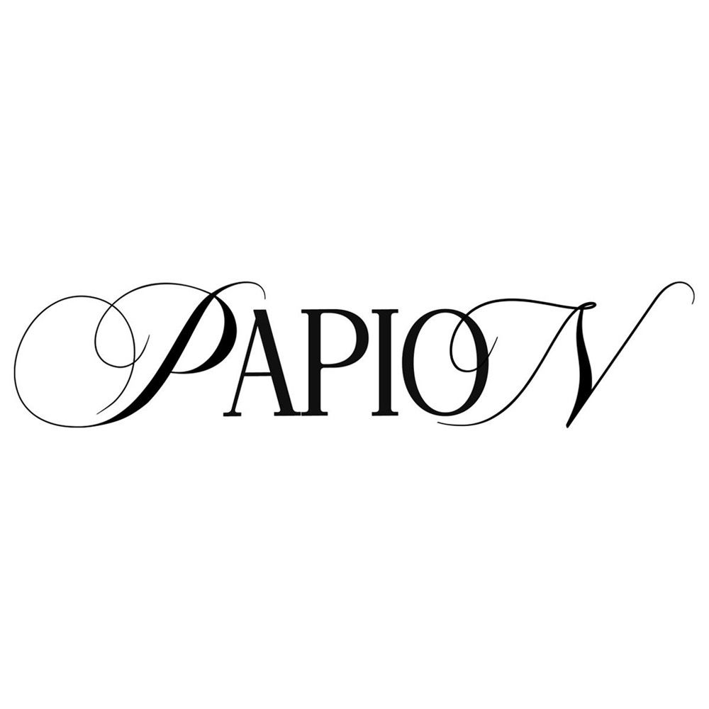 PAPION Members Profile (Updated!) - Kpop Profiles